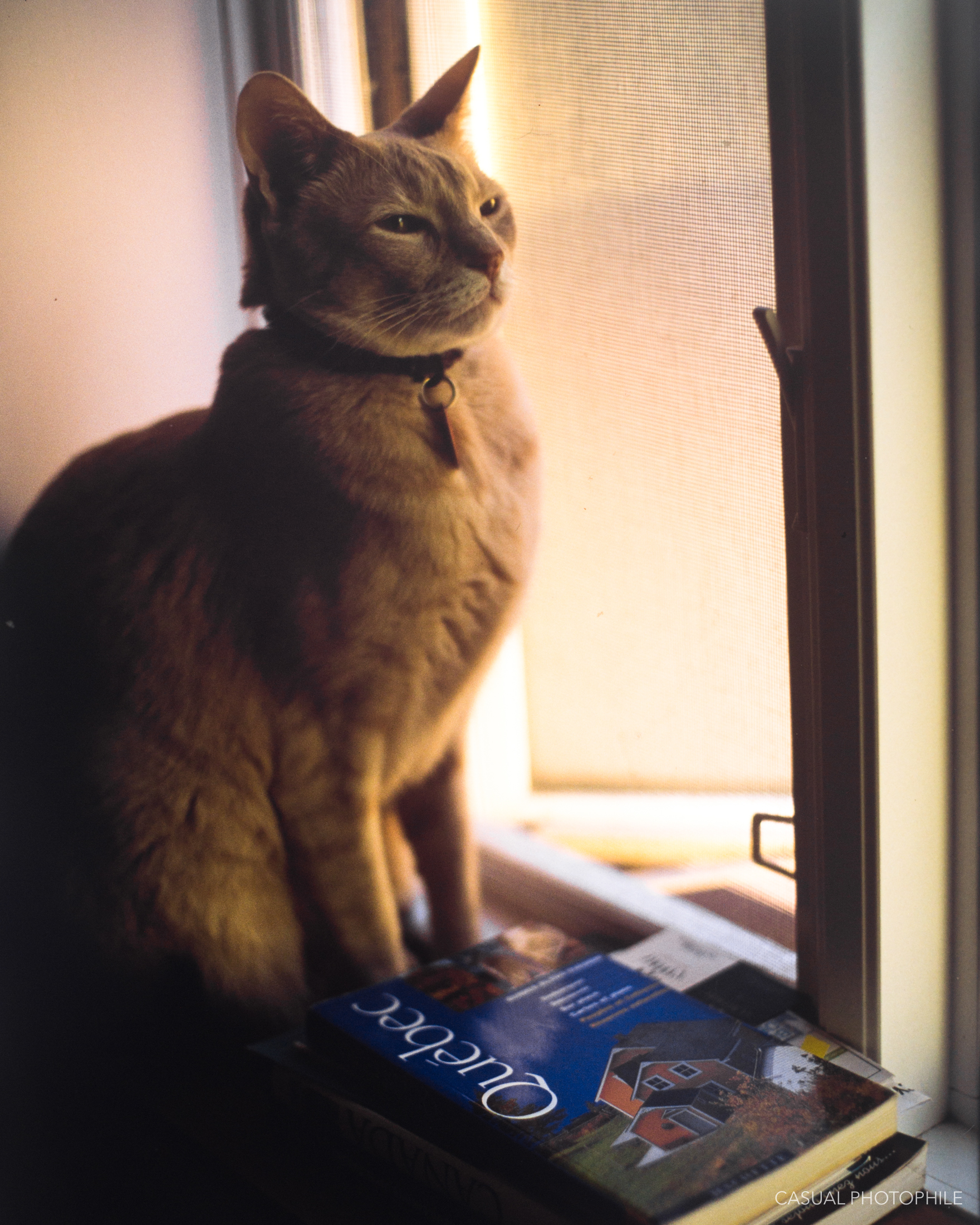 Fujifilm Provia 100F Slide Film Profile - Casual Photophile