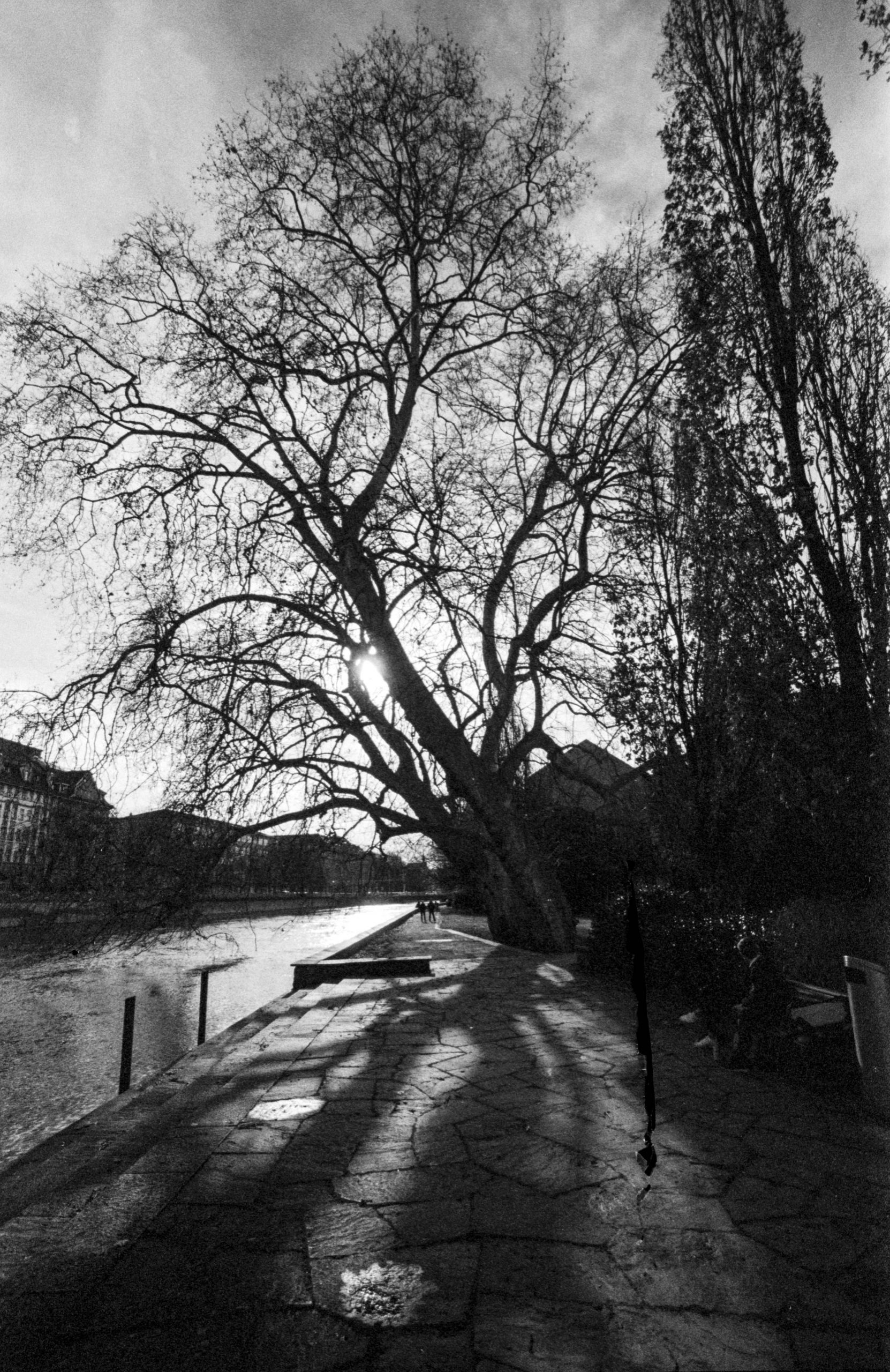 The Minolta a7 is the Perfect Film SLR for Shooters Who Want it All