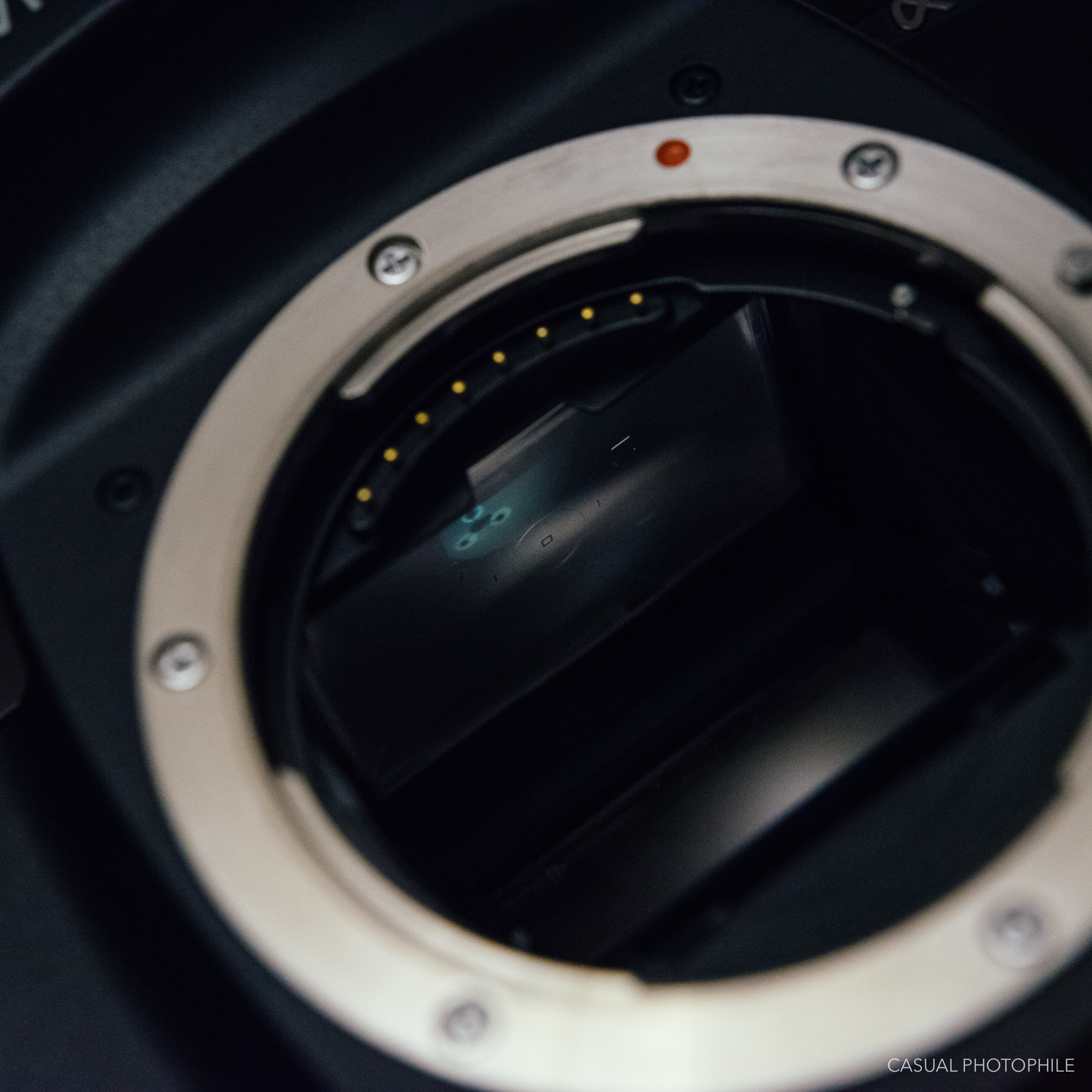 The Minolta a7 is the Perfect Film SLR for Shooters Who Want it All