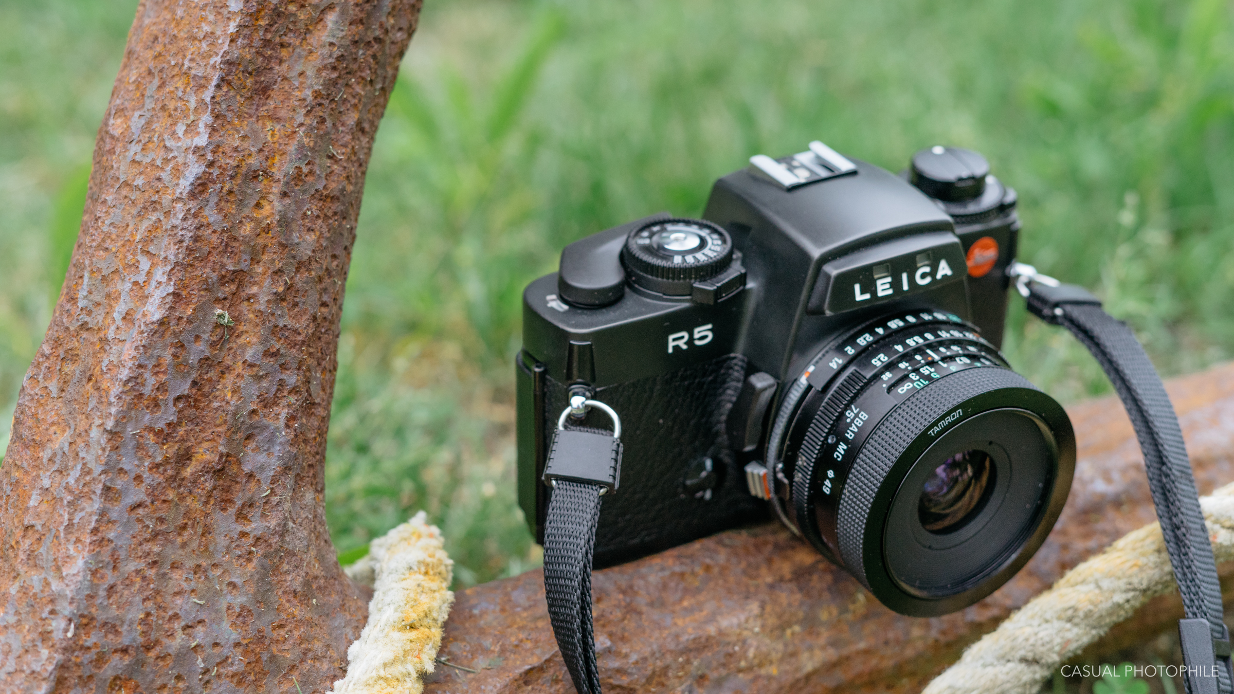 Which Leica SLR Should I Buy? - Casual Photophile
