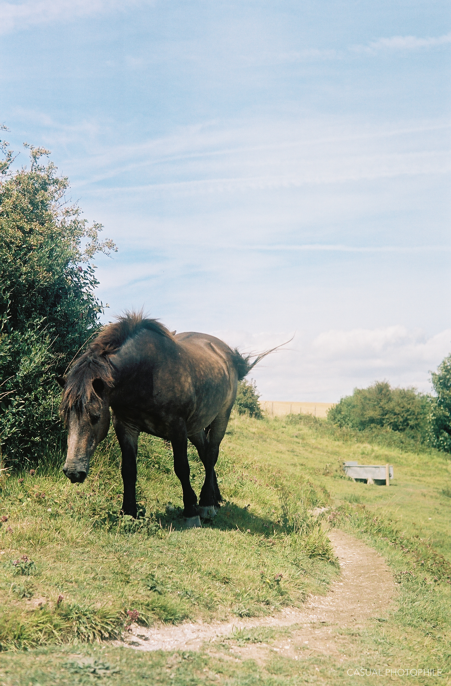 Voigtländer Bessa R 35mm Film Camera Review - a Value Proposition