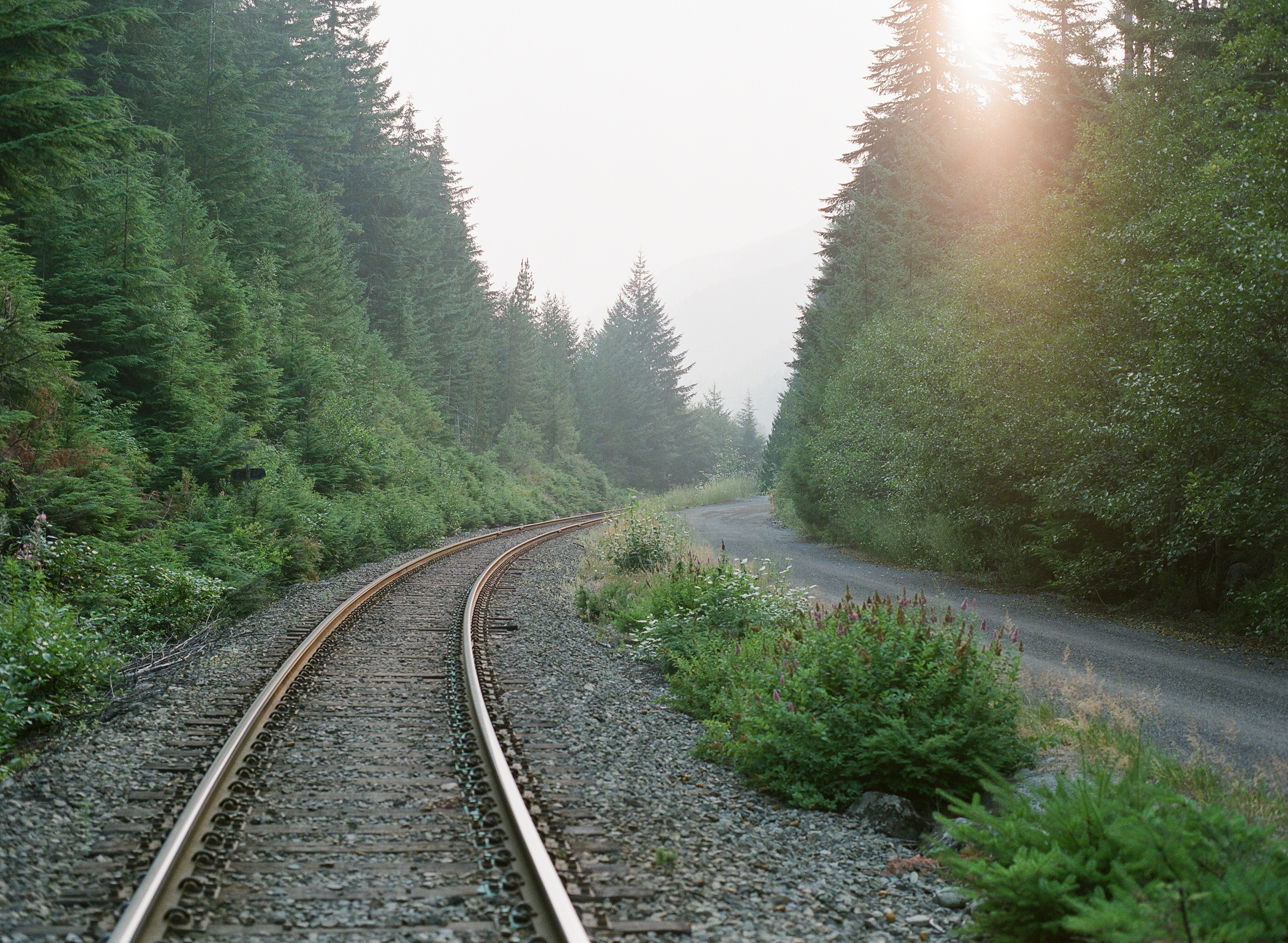 Fujifilm Fujicolor Pro 400H Film Profile - Casual Photophile