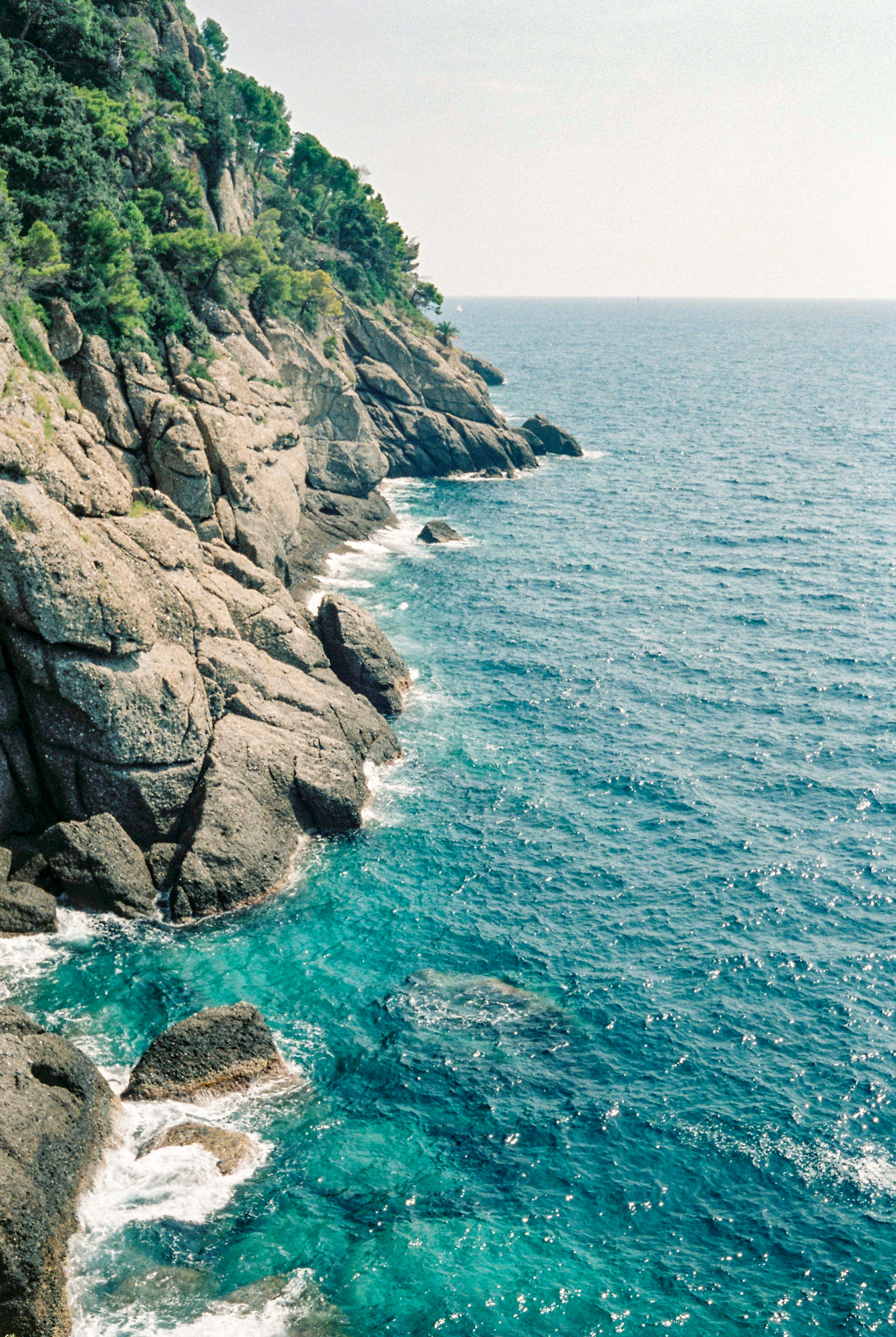 Fujifilm Fujicolor Pro 400H Film Profile - Casual Photophile