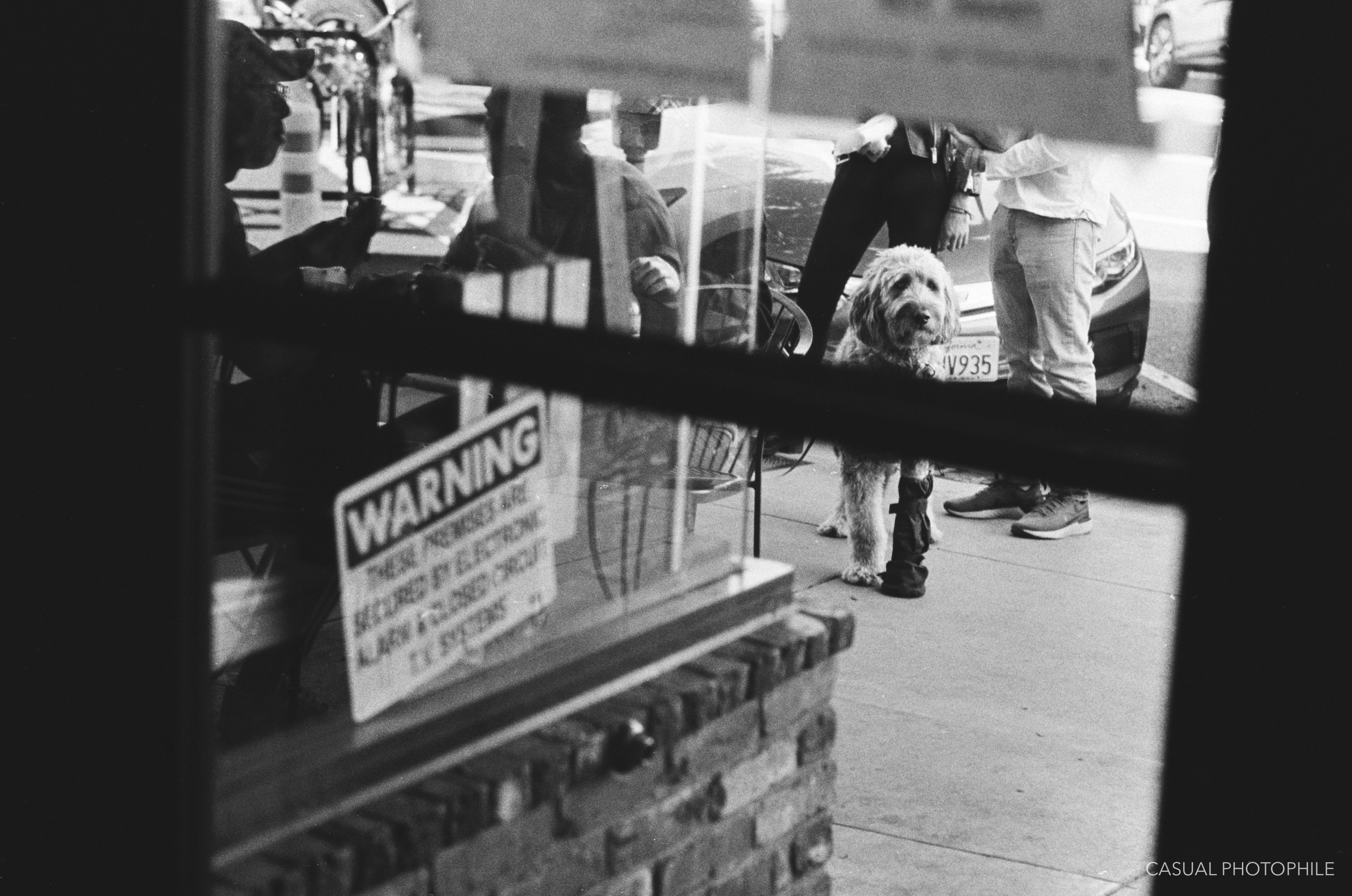 Foma Fomapan 100 35mm Film Review - Casual Photophile