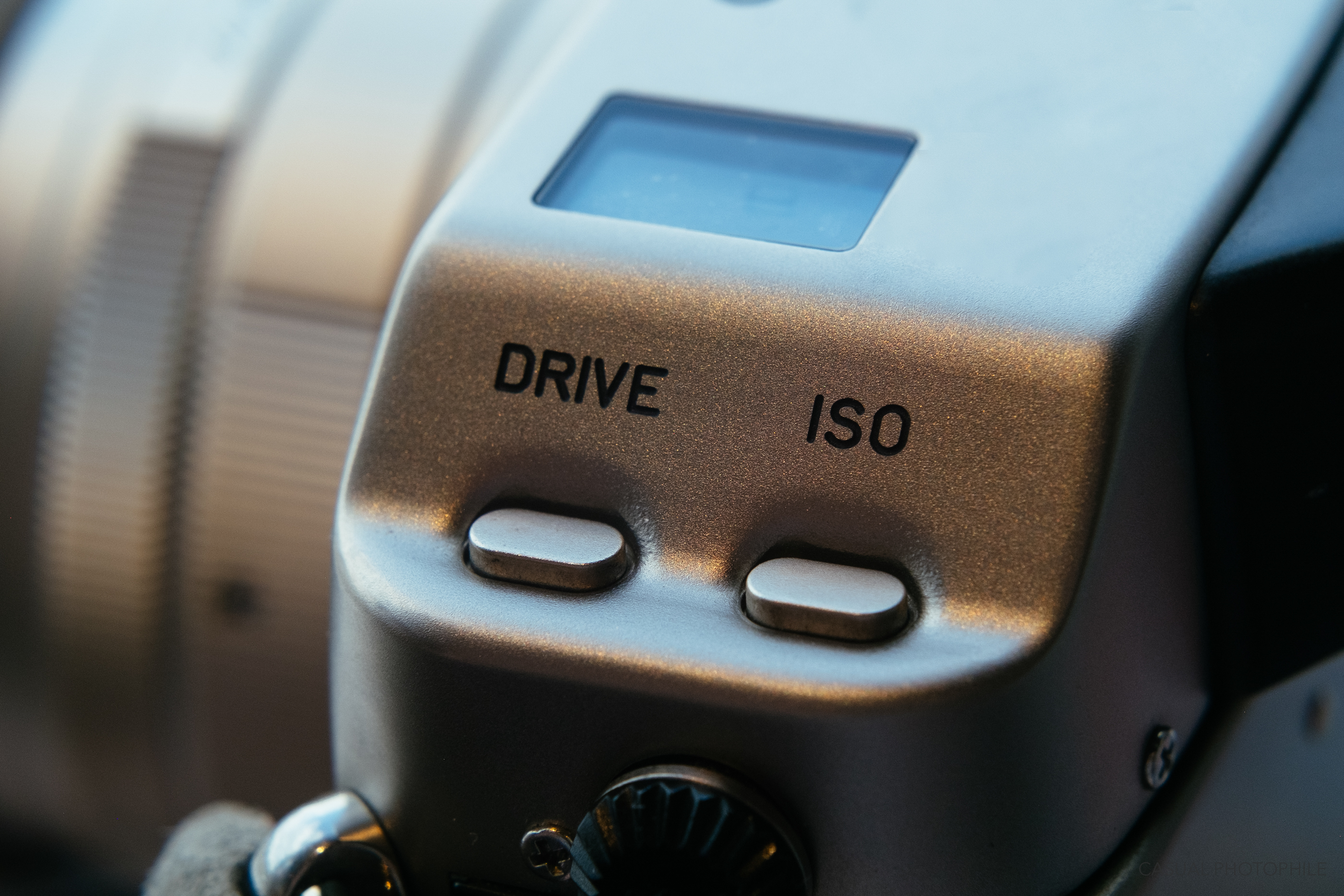 The Contax G1 Takes on the World - Film Camera Review