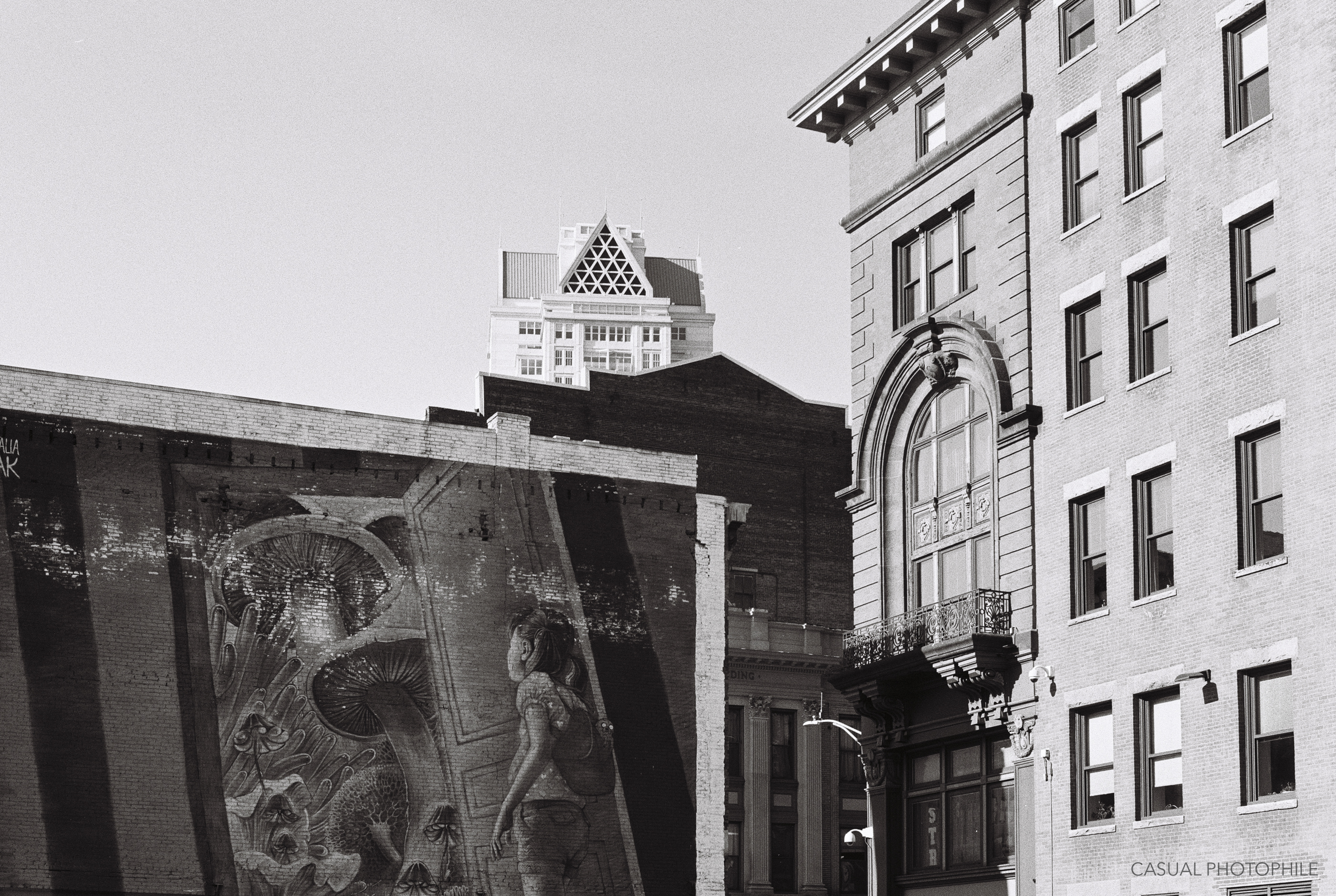 The Contax G1 Takes on the World - Film Camera Review