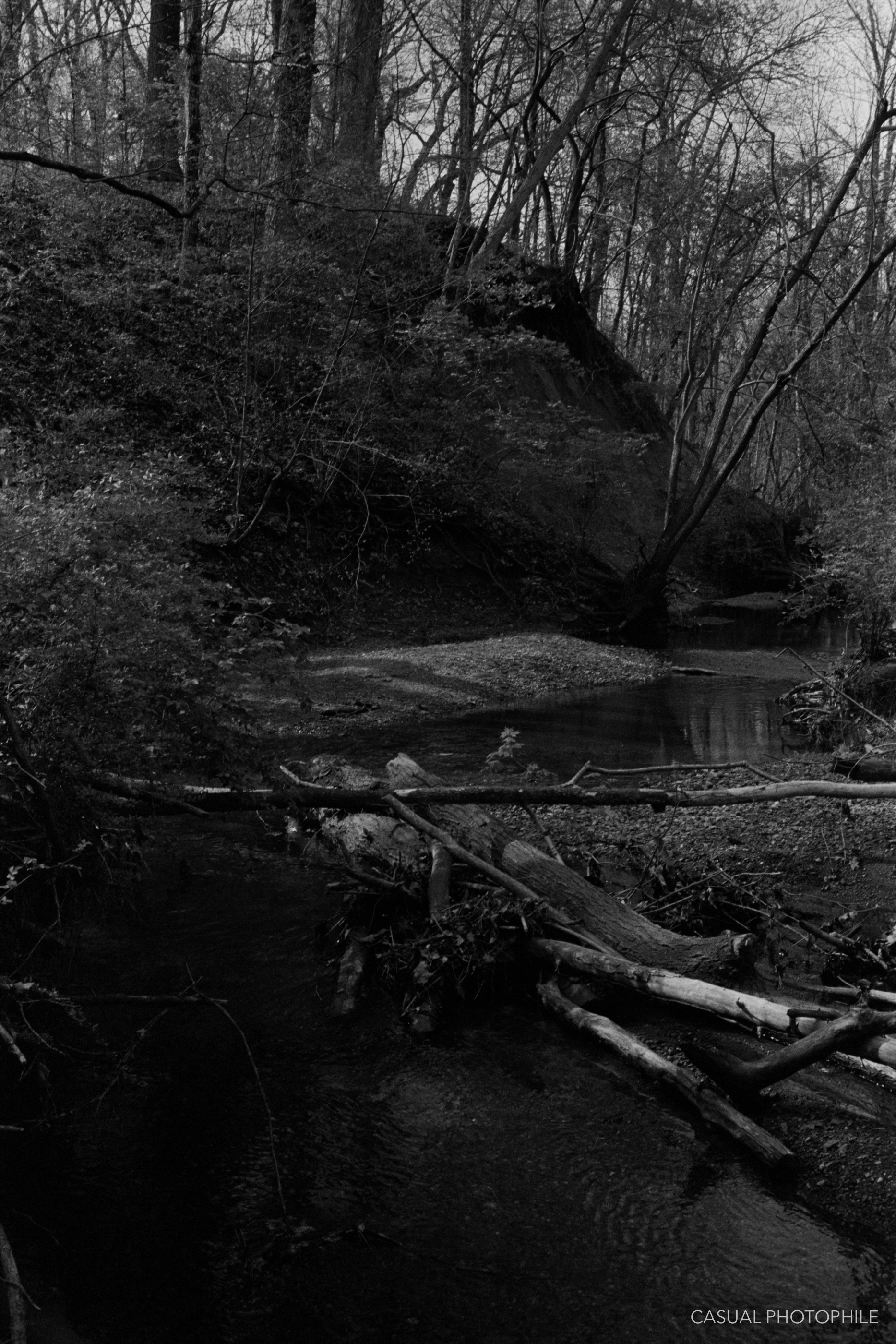 Mastering the Zone System - Part 1: Zone System Metering