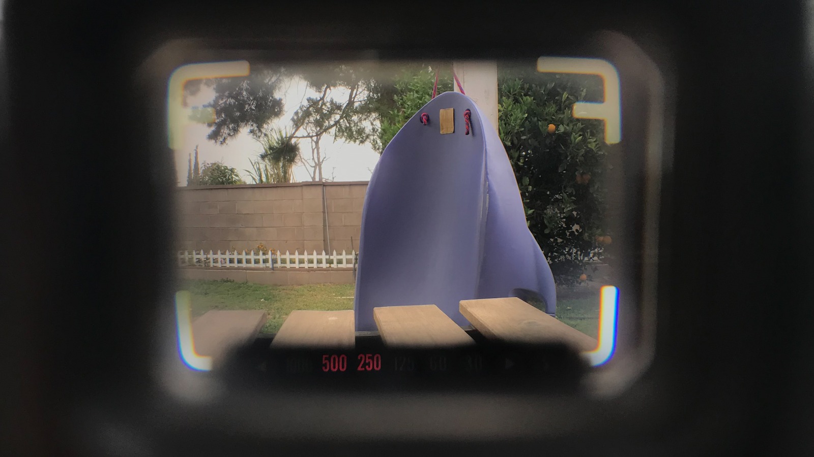 Nikon Nikonos V Camera Review - Casual Photophile