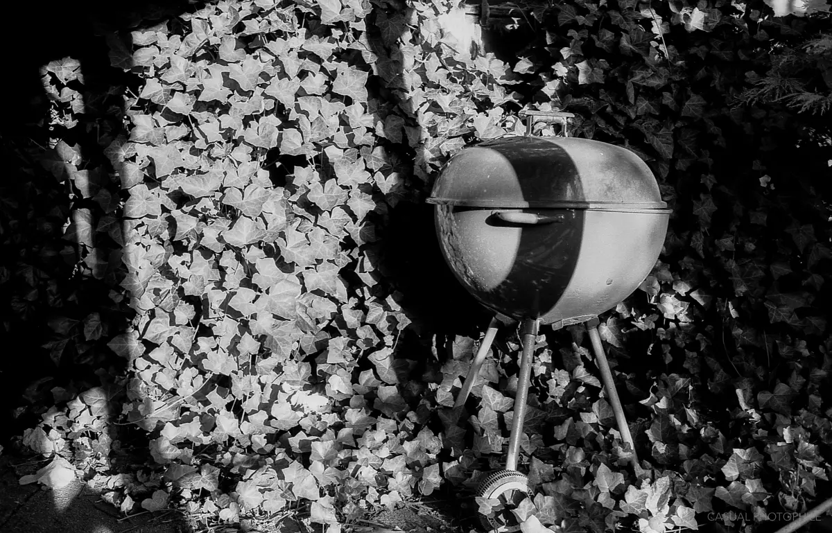 How the Nikon F100 (and Film) Changed My Digital Photography