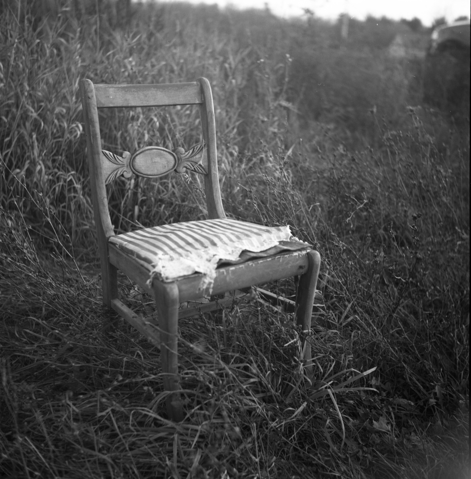 The Rolleiflex Old Standard - the First Rollei to Shoot 120 Film