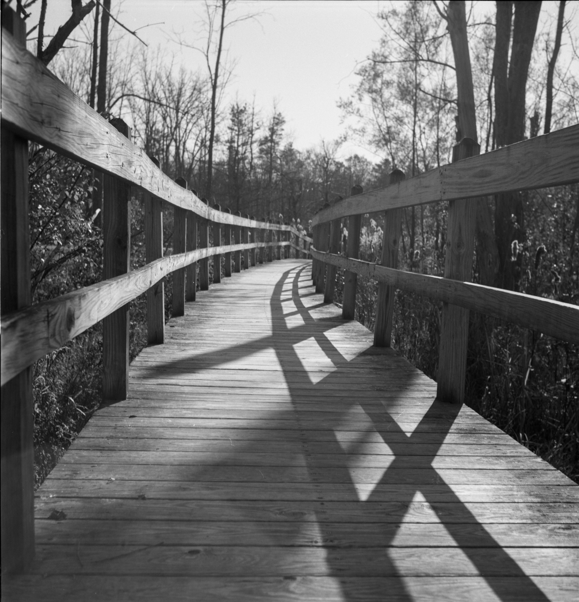 The Rolleiflex Old Standard - the First Rollei to Shoot 120 Film