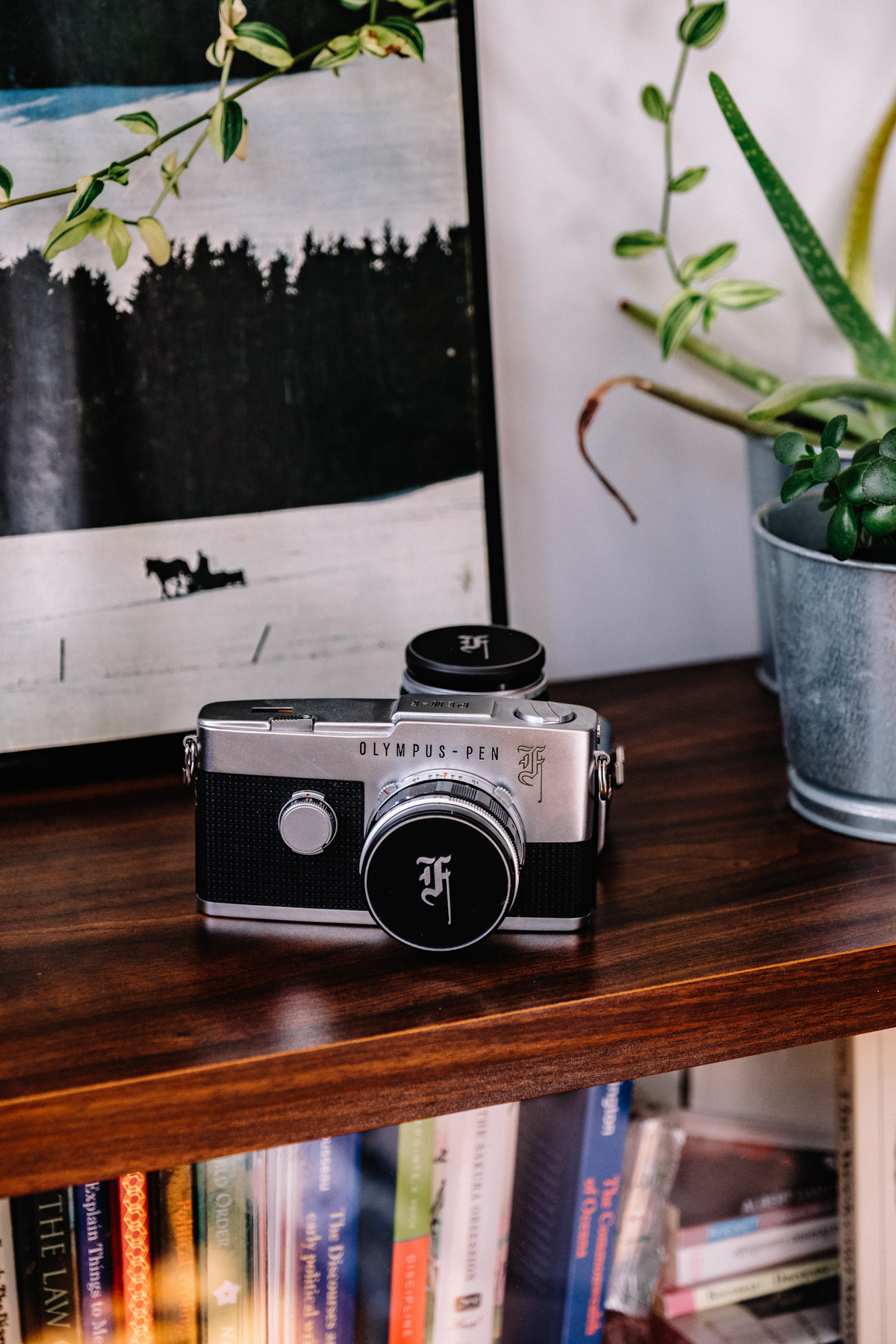 The Olympus Pen F as a More Methodical Point and Shoot Alternative