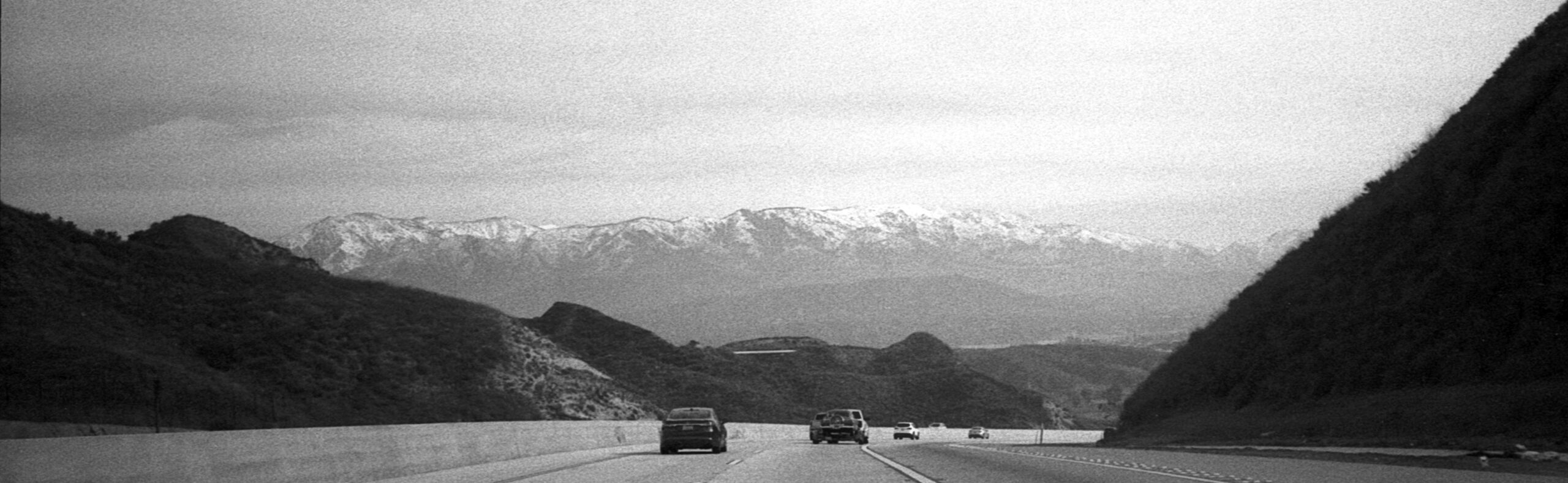 Beginner's Guide to Ilford Delta 400 - Casual Photophile